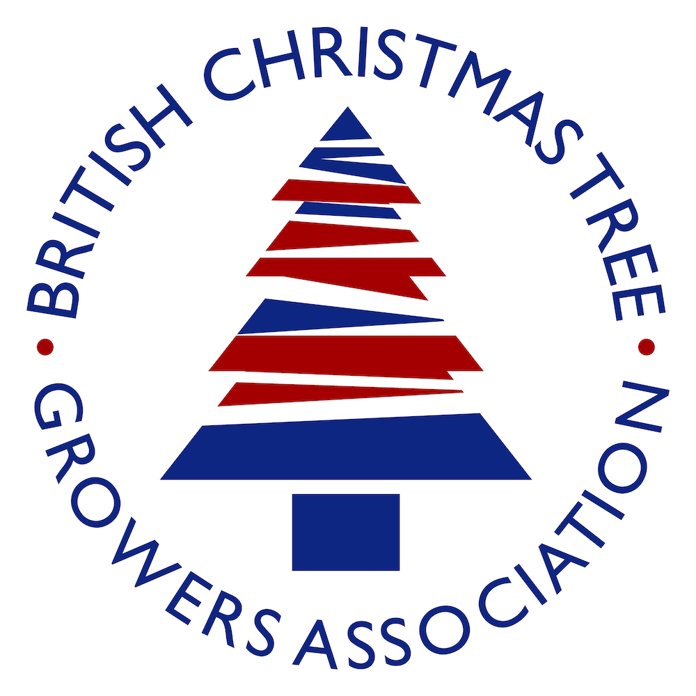 Christmas Tree Farm | Christmas Trees Near Me | Real Christmas Tree